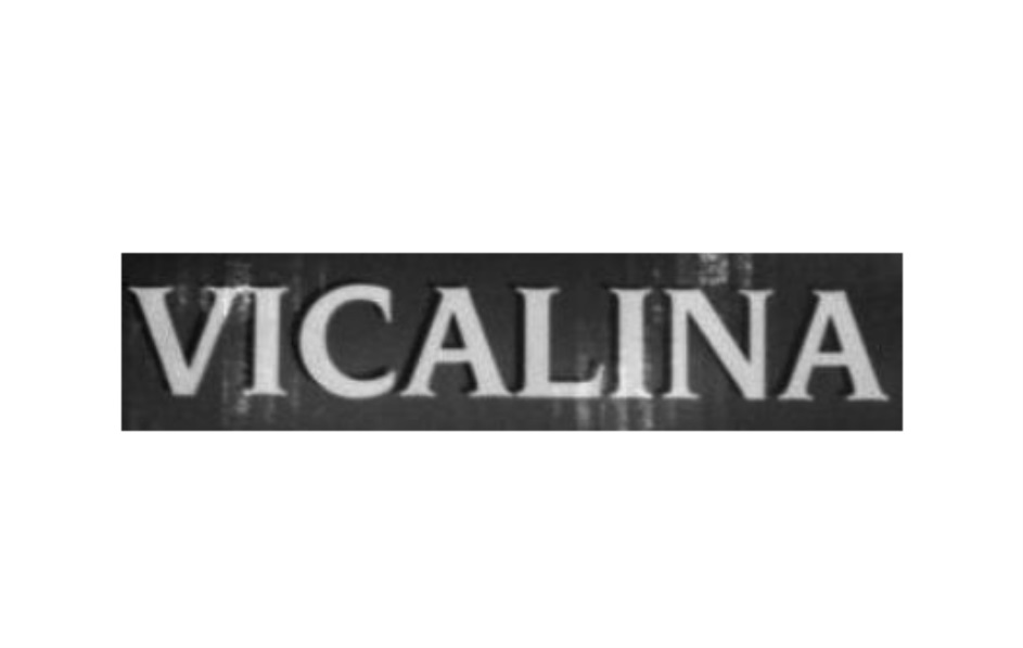 Торговая марка №691273 — VICALINA: владелец торгового знака и другие ...