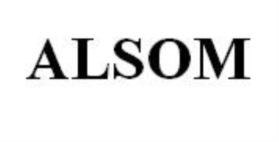 Торговая марка №651407 — ALSOM: владелец торгового знака и другие ...