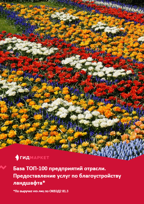 Крупнейшие предприятия отрасли База ТОП 100 Предоставление услуг по